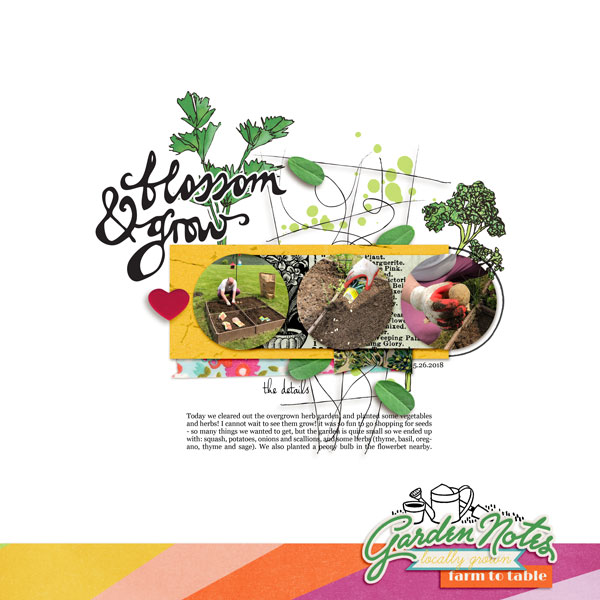 Garden Notes – Paint It Bright